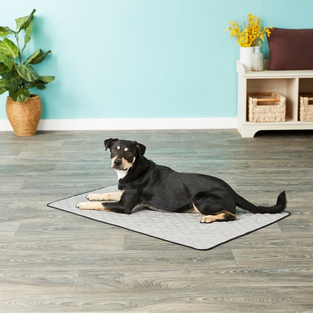 TECHNICHE INTERNATIONAL Evaporative Cooling Dog Pad, Silver, X-Large ...