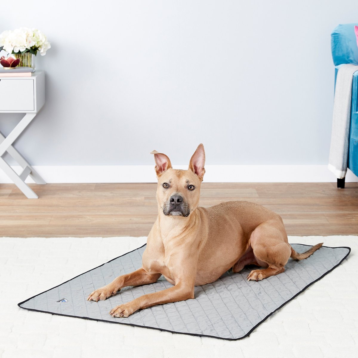 TECHNICHE INTERNATIONAL Evaporative Cooling Dog Pad, Silver, XX-Large ...