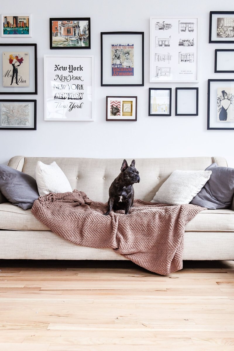 PEARHEAD Pawprints Dog & Cat Wall Frame & Impression Kit, Espresso ...