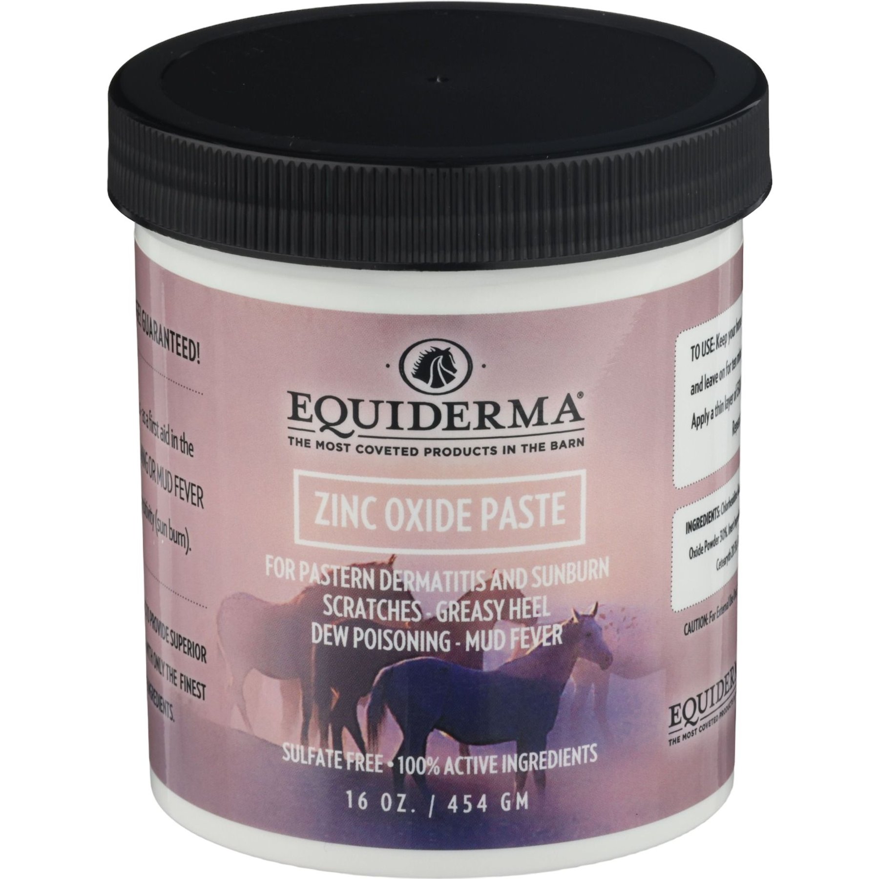 EQUIDERMA Zinc Oxide Horse Sunscreen & Skin Care Paste, 16-oz jar ...