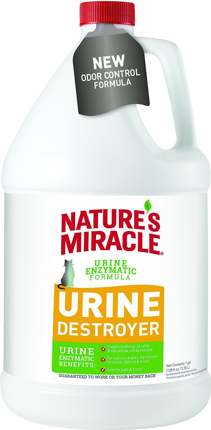 NATURE'S MIRACLE Cat Urine Destroyer, 1-gal bottle - Chewy.com