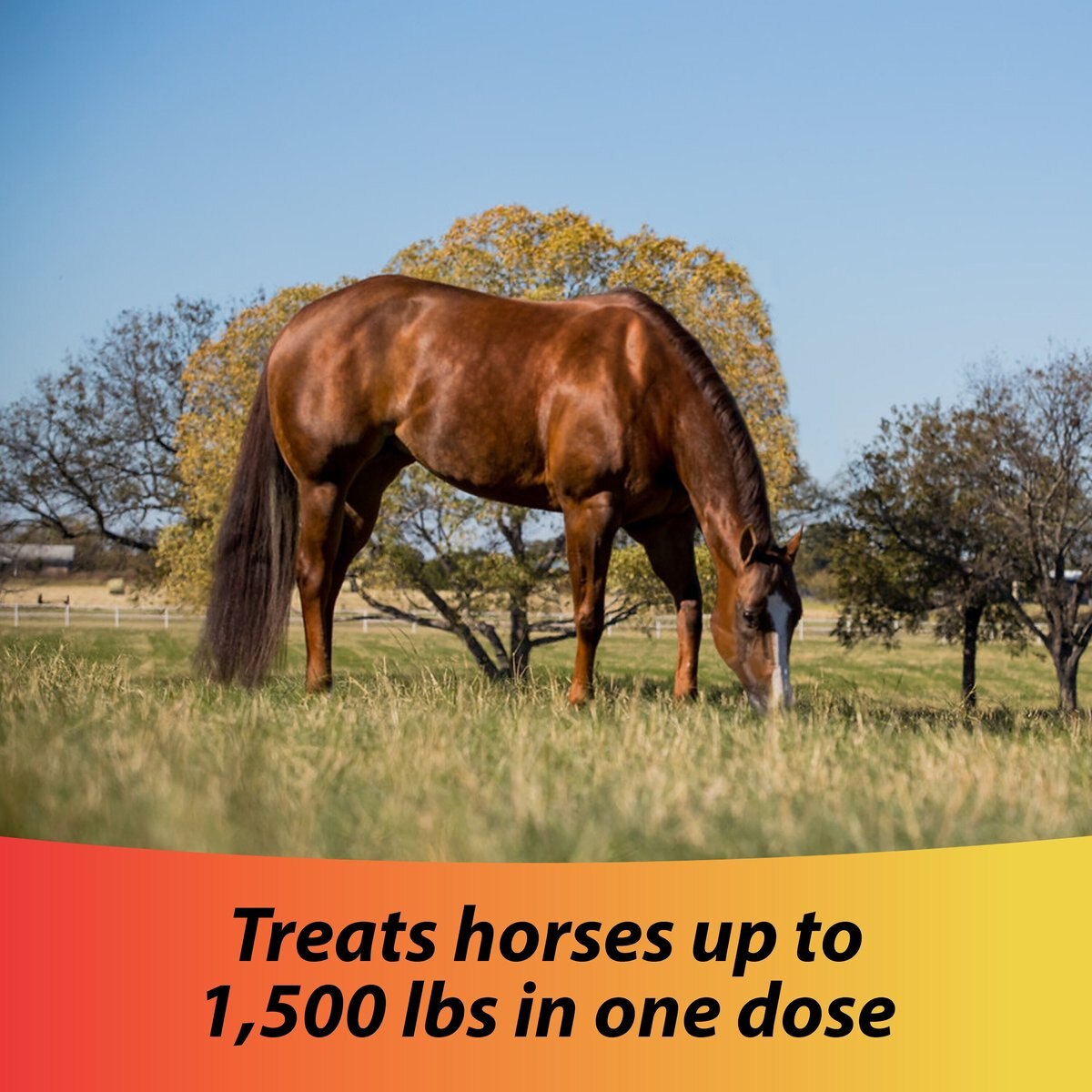 FARNAM Ivercare Ivermectin Horse Dewormer Paste, Apple Flavor, .26-oz ...