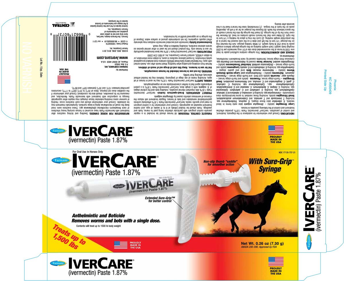 FARNAM Ivercare Ivermectin Horse Dewormer Paste, Apple Flavor, .26-oz ...