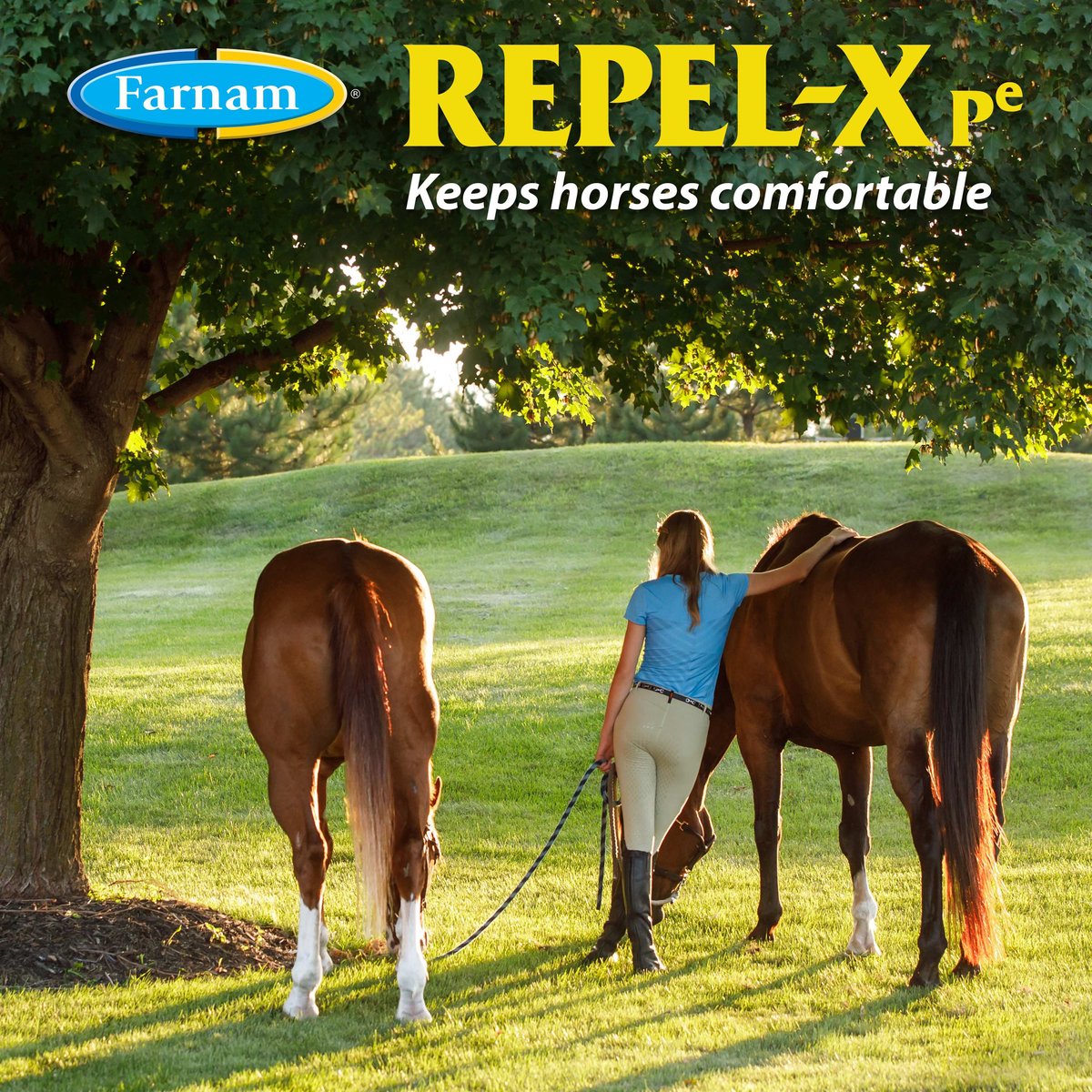 FARNAM Repel-X Dog & Horse Insecticide & Repellent, 32-fl oz bottle ...