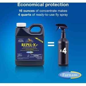 10 Best Fly Sprays for Horses 2025: According to Reviews | Chewy