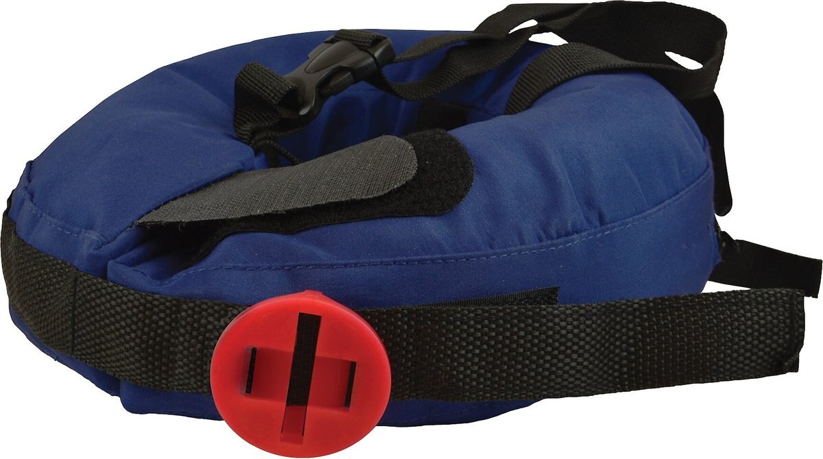 CALM PAWS Inflatable Protective Dog & Cat Collar, Medium - Chewy.com