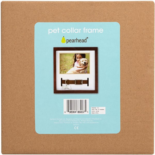 PEARHEAD Dog Collar Frame, 3 x 4.5 in - Chewy.com