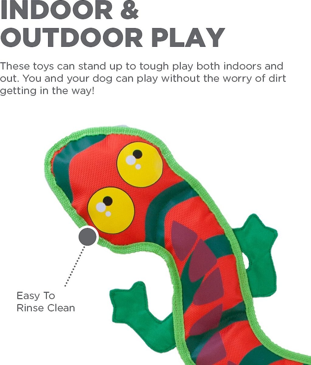 OUTWARD HOUND Fire Biterz Exotic Lizard Squeaky Dog Toy - Chewy.com