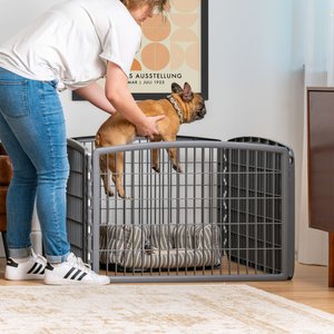 10 Best Plastic Dog Pens 2024: According to Reviews | Chewy