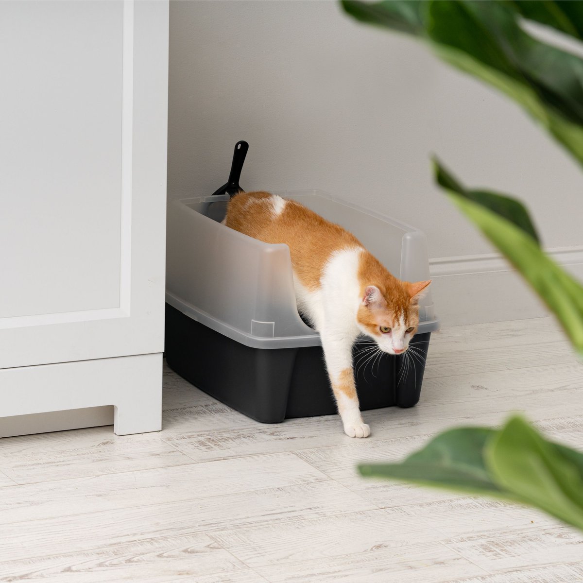 IRIS USA Large Cat Litter Box with Scatter Shield & Scoop, Black ...