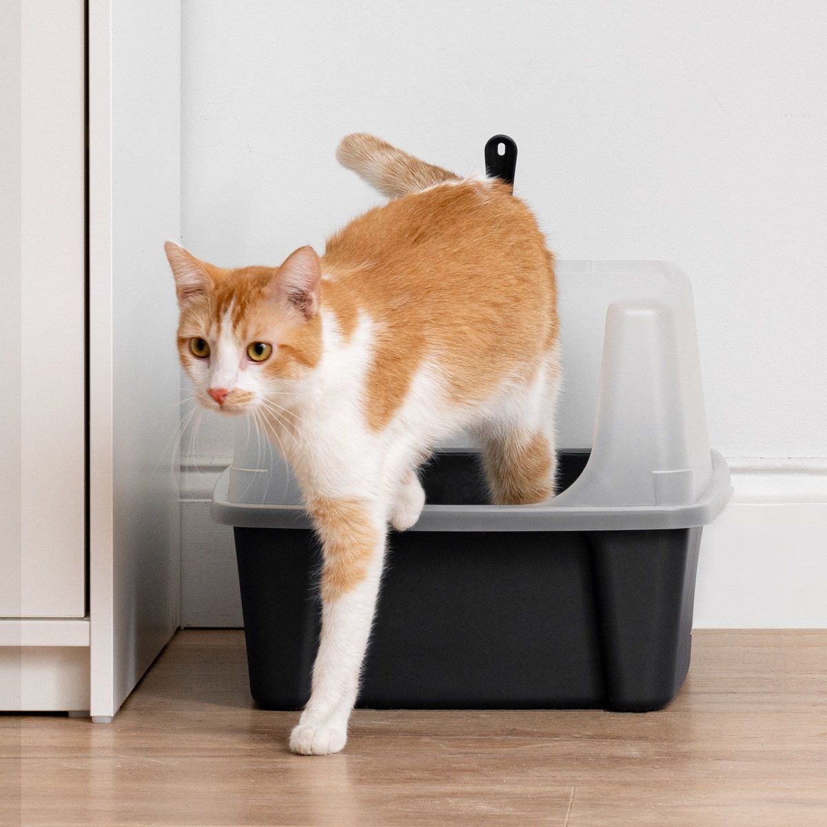 IRIS USA Large Cat Litter Box with Scatter Shield & Scoop, Black ...