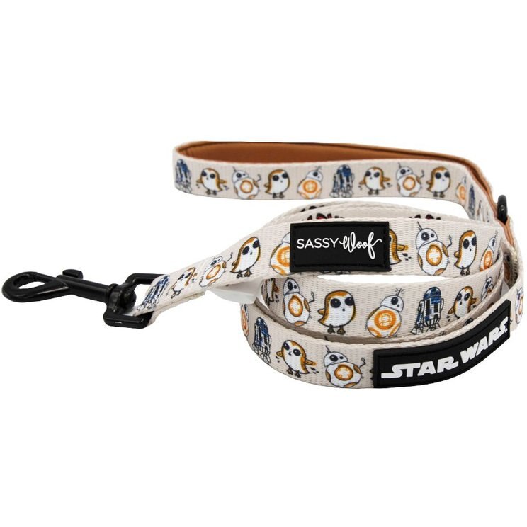 Sassy Woof - Free shipping | Chewy