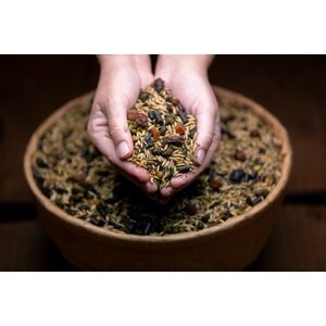 10 Best Ration Balancers for Horses 2025: According to Reviews | Chewy