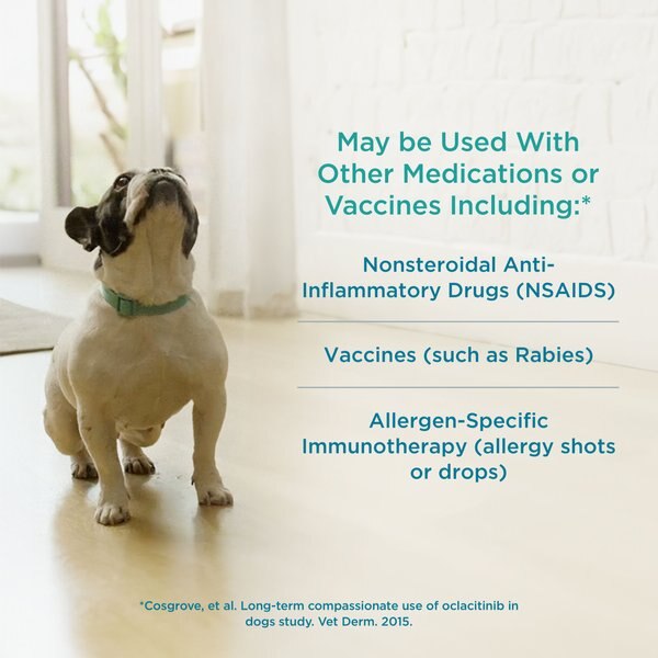 APOQUEL (oclacitinib) Tablets for Dogs, 3.6-mg, 120 tablets - Chewy.com