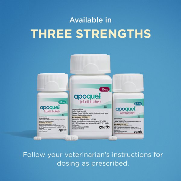 APOQUEL (oclacitinib) Tablets for Dogs, 3.6-mg, 120 tablets - Chewy.com