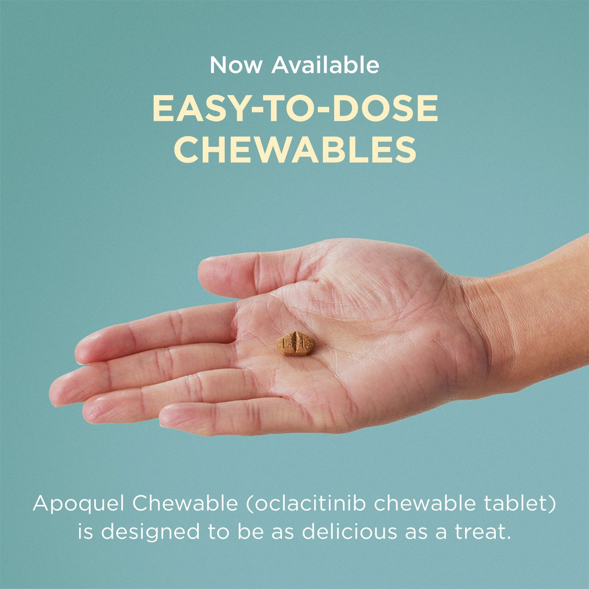 APOQUEL (oclacitinib) Tablets for Dogs, 3.6-mg, 120 tablets - Chewy.com