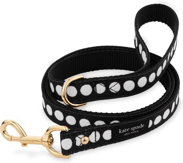 KATE SPADE NEW YORK Polyester Dog Leash, Art Dot, Small/Medium: 4.5-ft ...