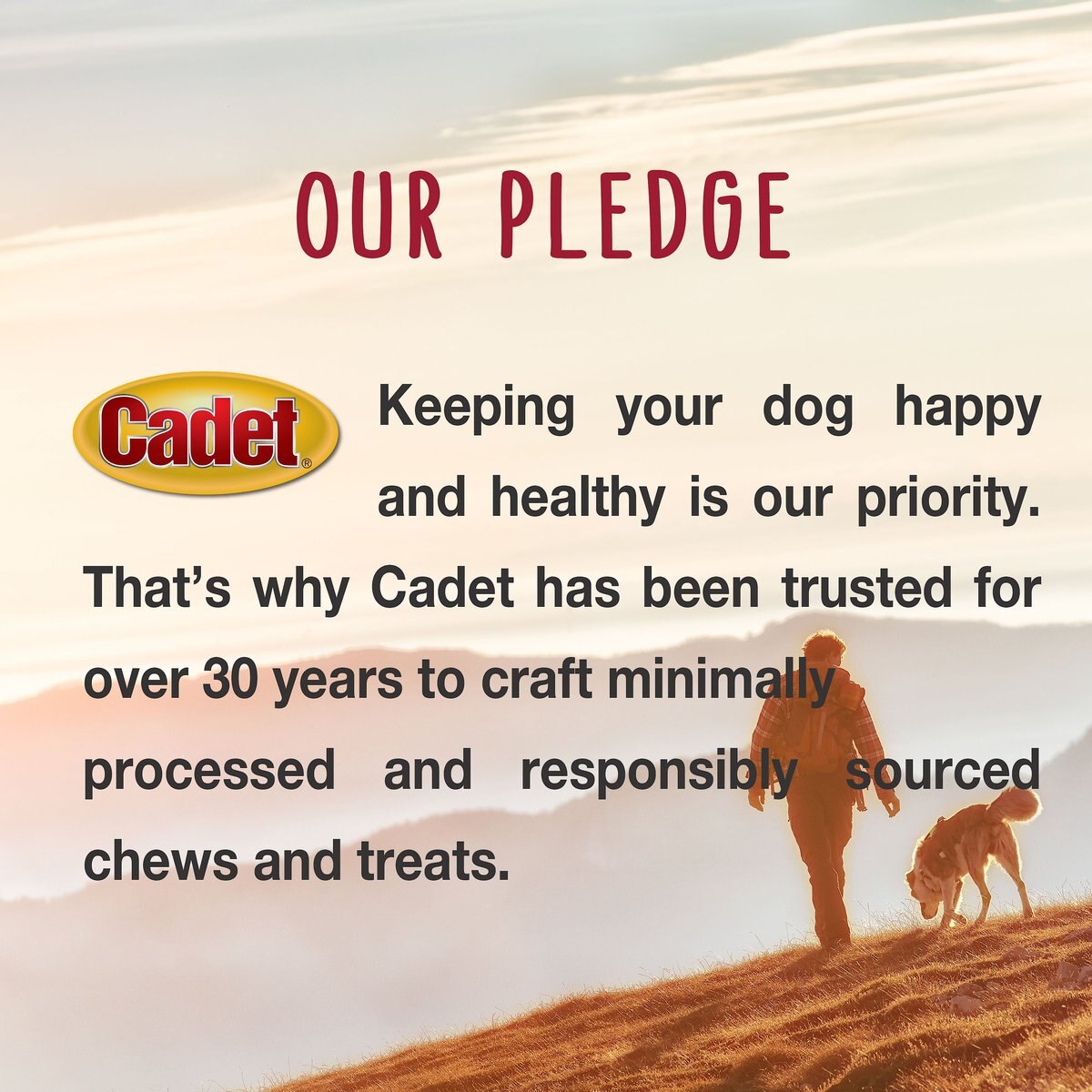 Cadet Beef Hide Retriever Roll Cadet Premium Grade Beef Hide Twist ...