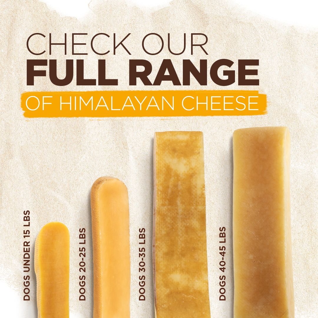 NATURAL FARM Himalayan Cheese Dog Treats, Large, 1-lb bag - Chewy.com
