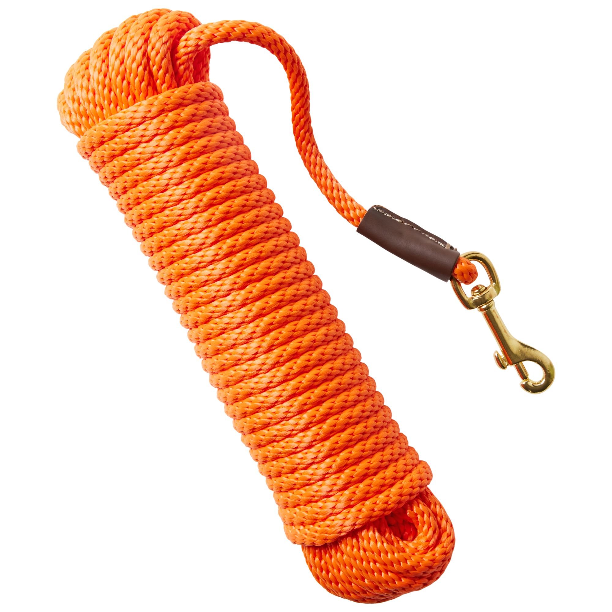 MENDOTA PRODUCTS Trainer Check Cord Rope Dog Lead - Chewy.com