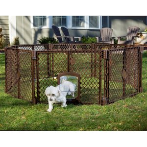 10 Best Plastic Dog Pens 2025: According to Reviews | Chewy