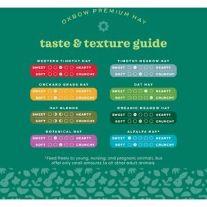 10 Best Degu Foods 2025: According to Reviews | Chewy