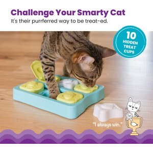 10 Best Interactive Cat Toys 2025: According to Reviews | Chewy