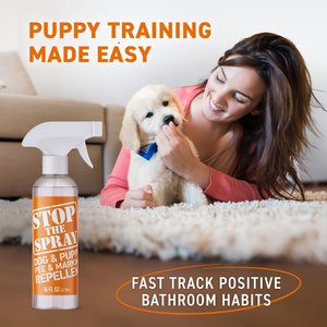 10 Best Dog Repellents 2025: According to Reviews | Chewy