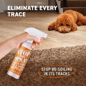 10 Best Dog Repellents 2024: According to Reviews | Chewy