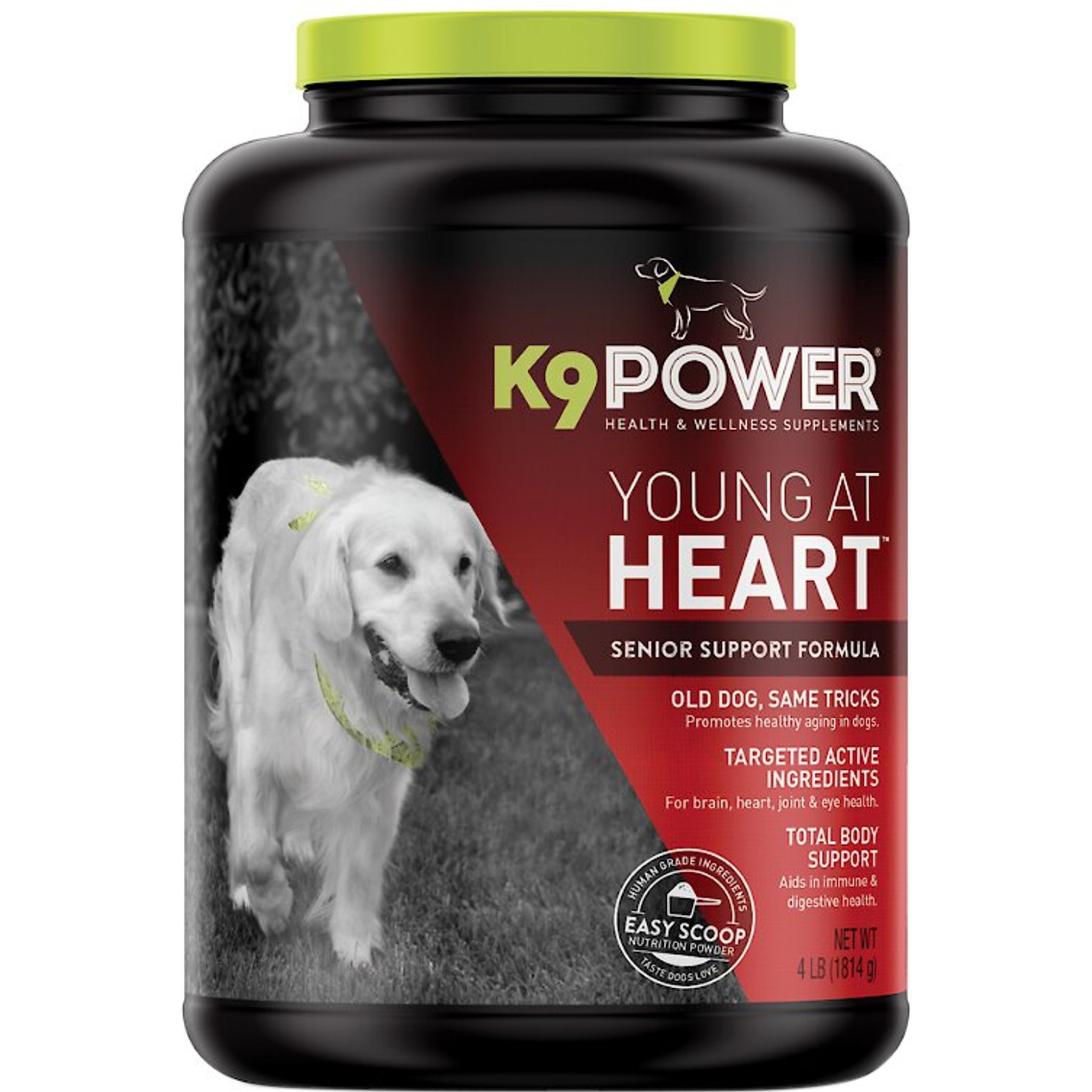 K9 POWER Young At Heart Nutritional Senior Dog Supplement, 8-lb jar ...