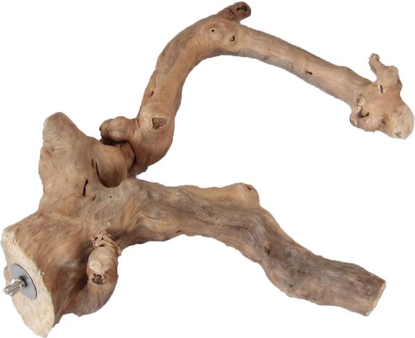 A&E CAGE COMPANY Multi-Branch Bird Perch, Brown, X-Large - Chewy.com