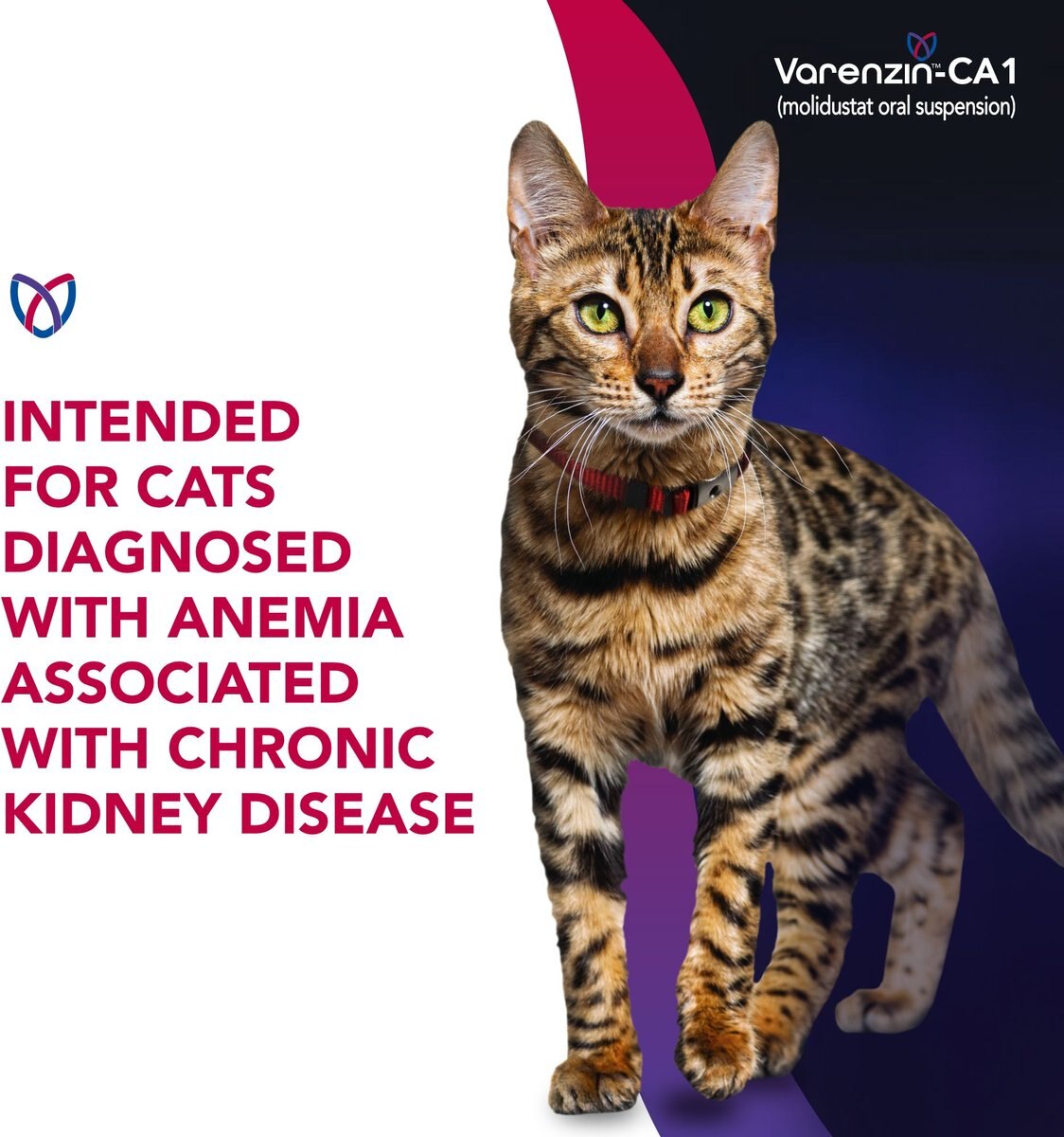 Varenzin-CA1 25mg/mL Oral Suspension for Cats, 27mL bottle - Chewy.com