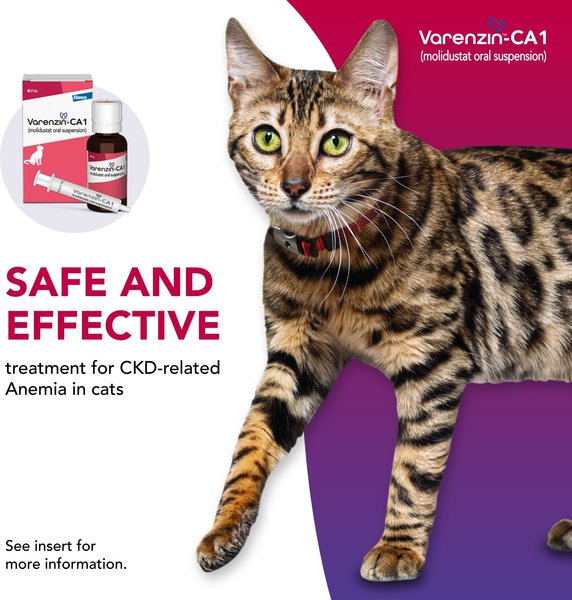 Varenzin-CA1 25mg/mL Oral Suspension for Cats, 27mL bottle - Chewy.com