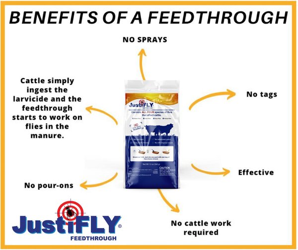 Temporarily Unavailable - CHAMPION ANIMAL HEALTH Feedthrough Fly ...