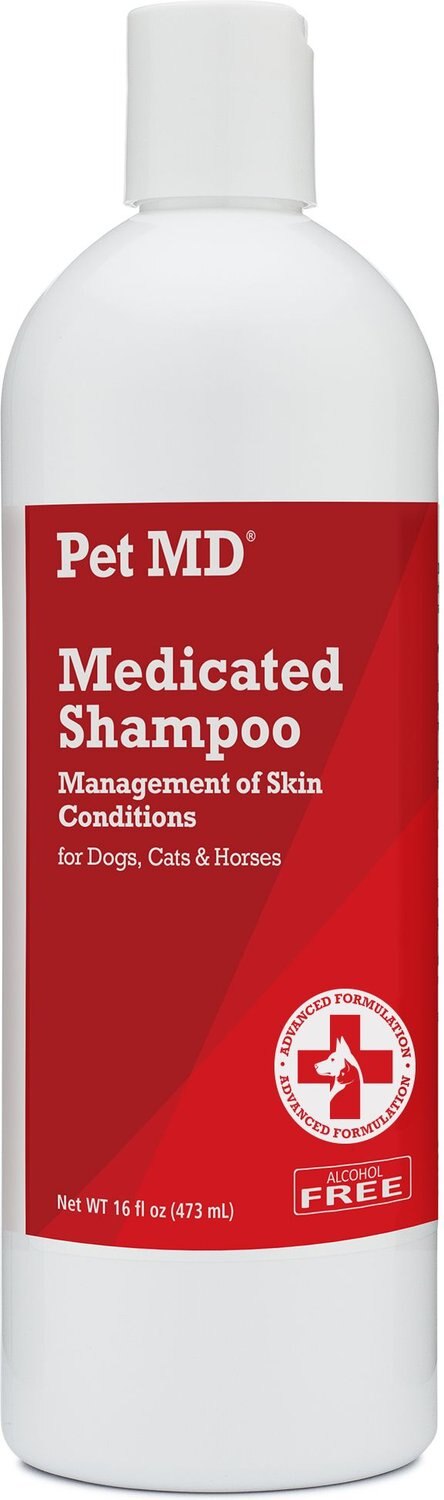 PET MD Antiseptic & Antifungal Medicated Dog, Cat & Horse Shampoo, 16 ...