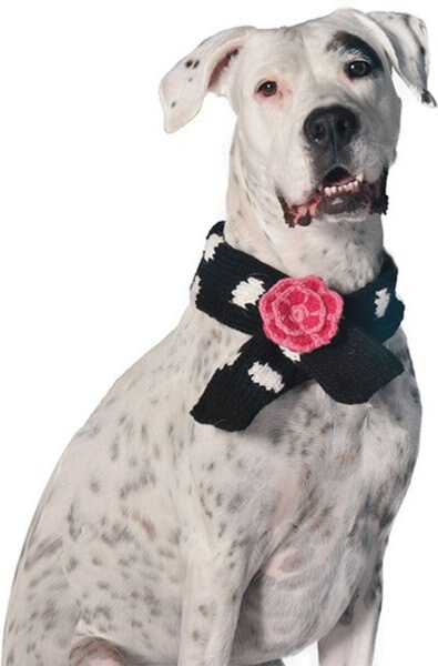 CHILLY DOG Black Polka Dog & Cat Scarf, Small - Chewy.com