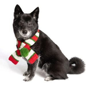 10 Best Dog Bow Ties 2025: According to Reviews | Chewy