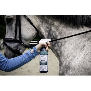 10 Best Fly Sprays for Horses 2025: According to Reviews | Chewy