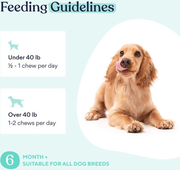 PAWFY Turkey & Bacon Flavored Chews Probiotic Supplement for Dogs, 30 ...