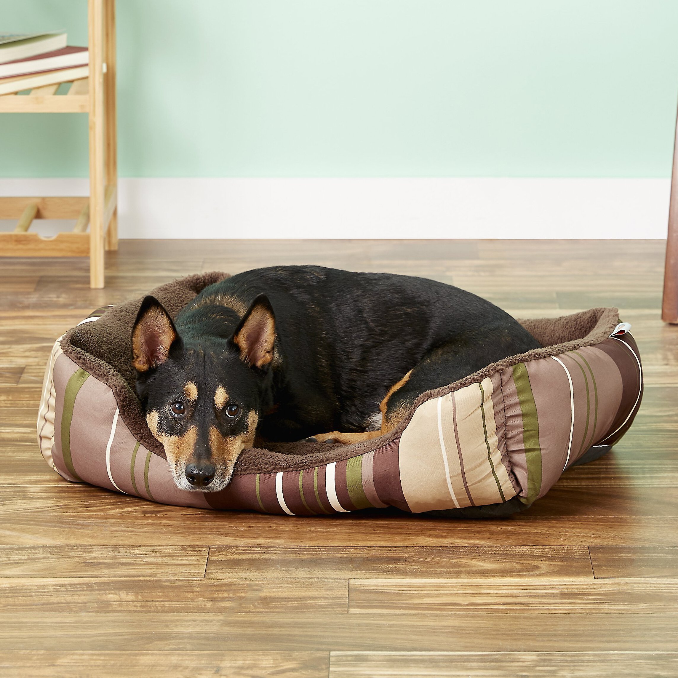 Questions and Answers about ASPCA Microtech Striped Bolster Dog Bed