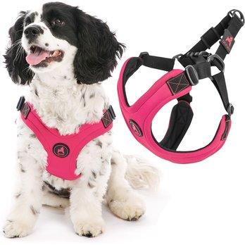 Back Clip Dog Harnesses - Page 3 (Free Shipping) | Chewy