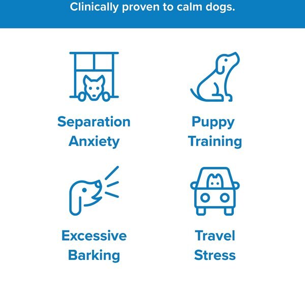 PET ACOUSTICS Pet Tunes Calming Music Dog Speaker - Chewy.com