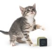 PET ACOUSTICS Pet Tunes Calming Music Cat Speaker - Chewy.com