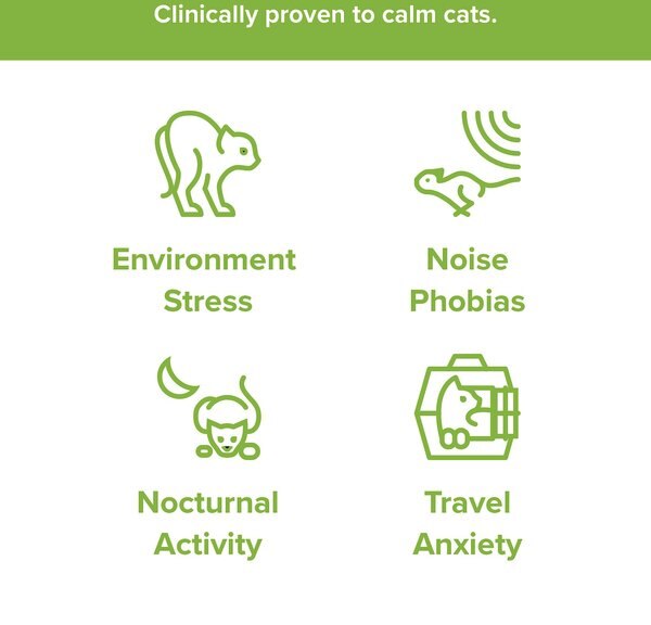 PET ACOUSTICS Pet Tunes Calming Music Cat Speaker - Chewy.com