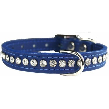 BLUE DOG COLLARS (Free Shipping) | Chewy