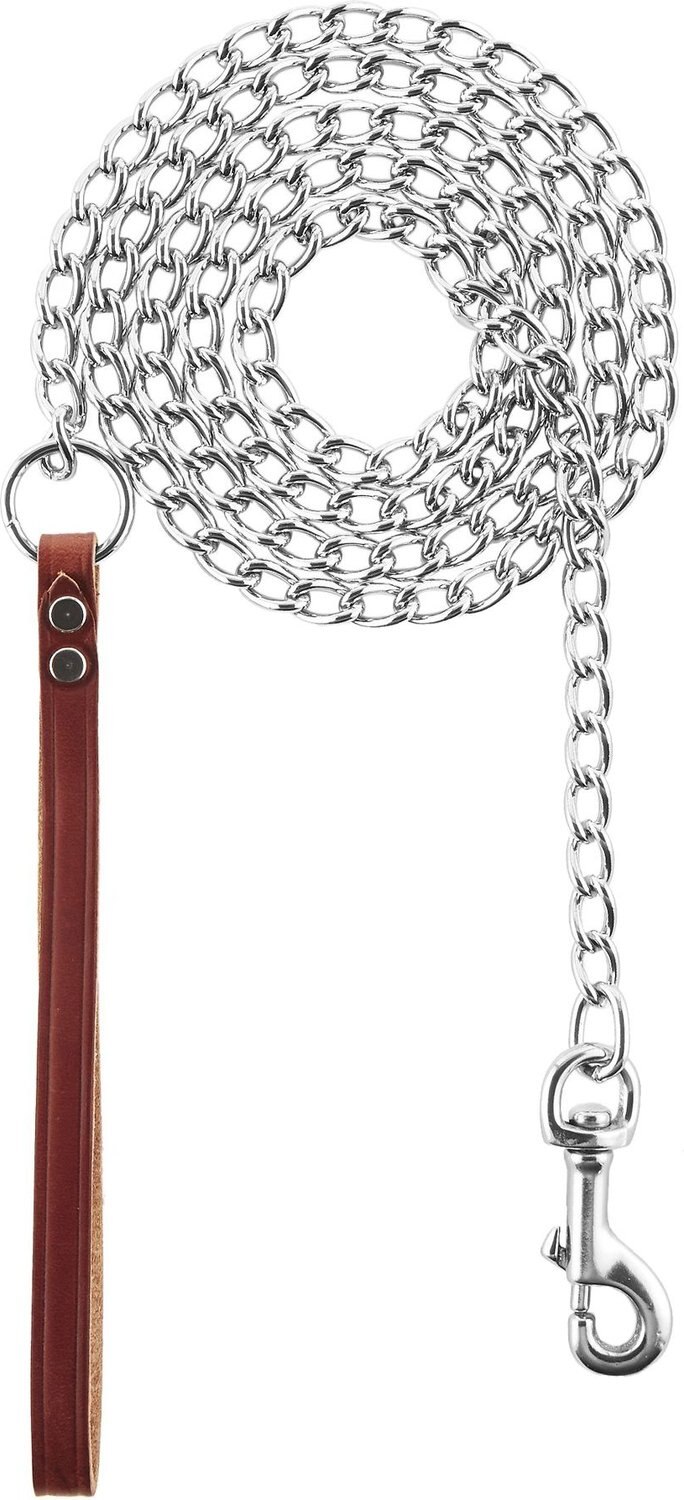 OMNIPET Chain Dog Leash with Leather Handle, Heavyweight, 6-ft - Chewy.com