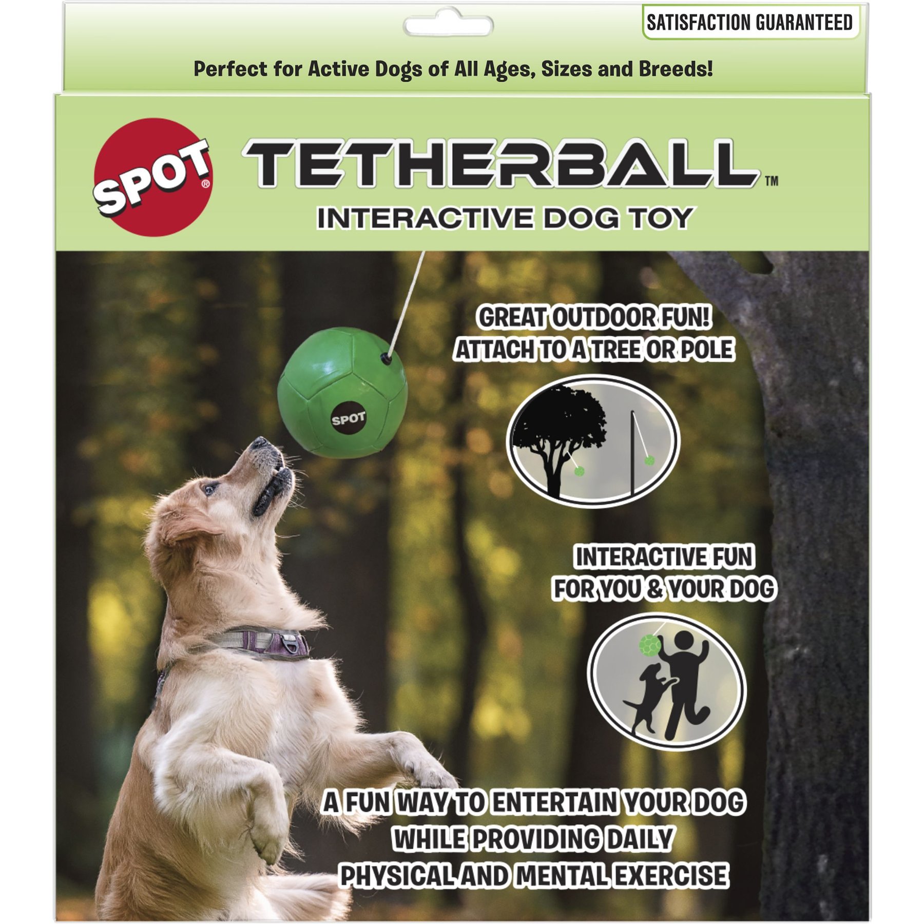 ETHICAL PET Tether Ball with Rope Outdoor Ball Dog Toy, Green, 8-in ...