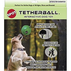 ETHICAL PET Tether Ball with Rope Outdoor Ball Dog Toy, Green, 8-in ...