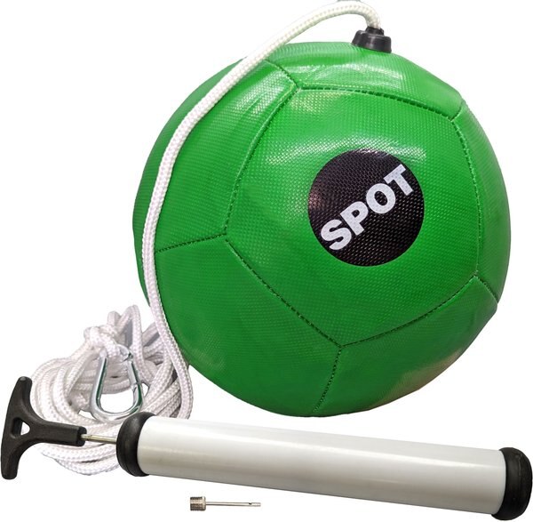 ETHICAL PET Tether Ball with Rope Outdoor Ball Dog Toy, Green, 8-in ...