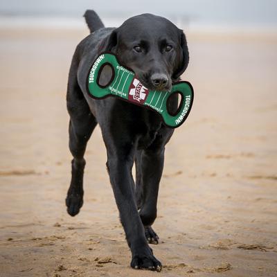 PETS FIRST Field Tough Squeaky Dog Chew Toy, Mississippi State - Chewy.com